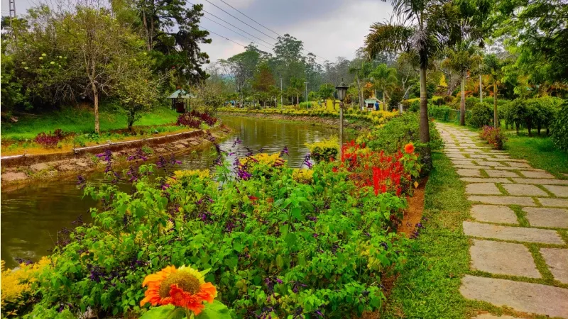 15 Best Places to Visit in Munnar: A Haven for Nature and Heritage